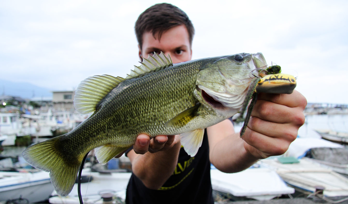 Tackle Test: Hearty Rise Wanderer