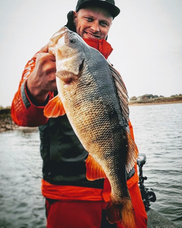 Hearty Rise Europe -Tackle Review: Hearty Rise Innovation IN-832H